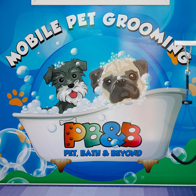 Mobile Pet Groomer in Katy Texas - Pets Mobile Grooming Service for Dogs